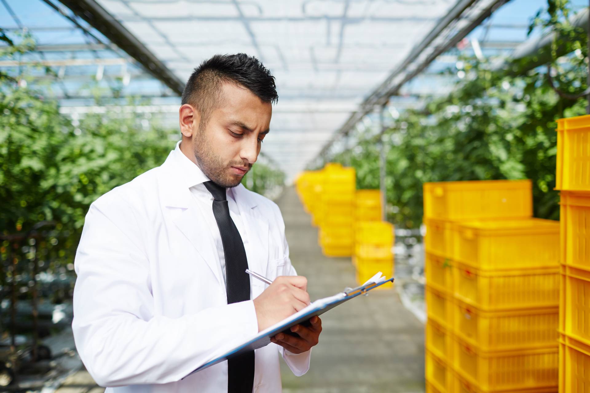 Dhanesha Crop Science Pvt Ltd